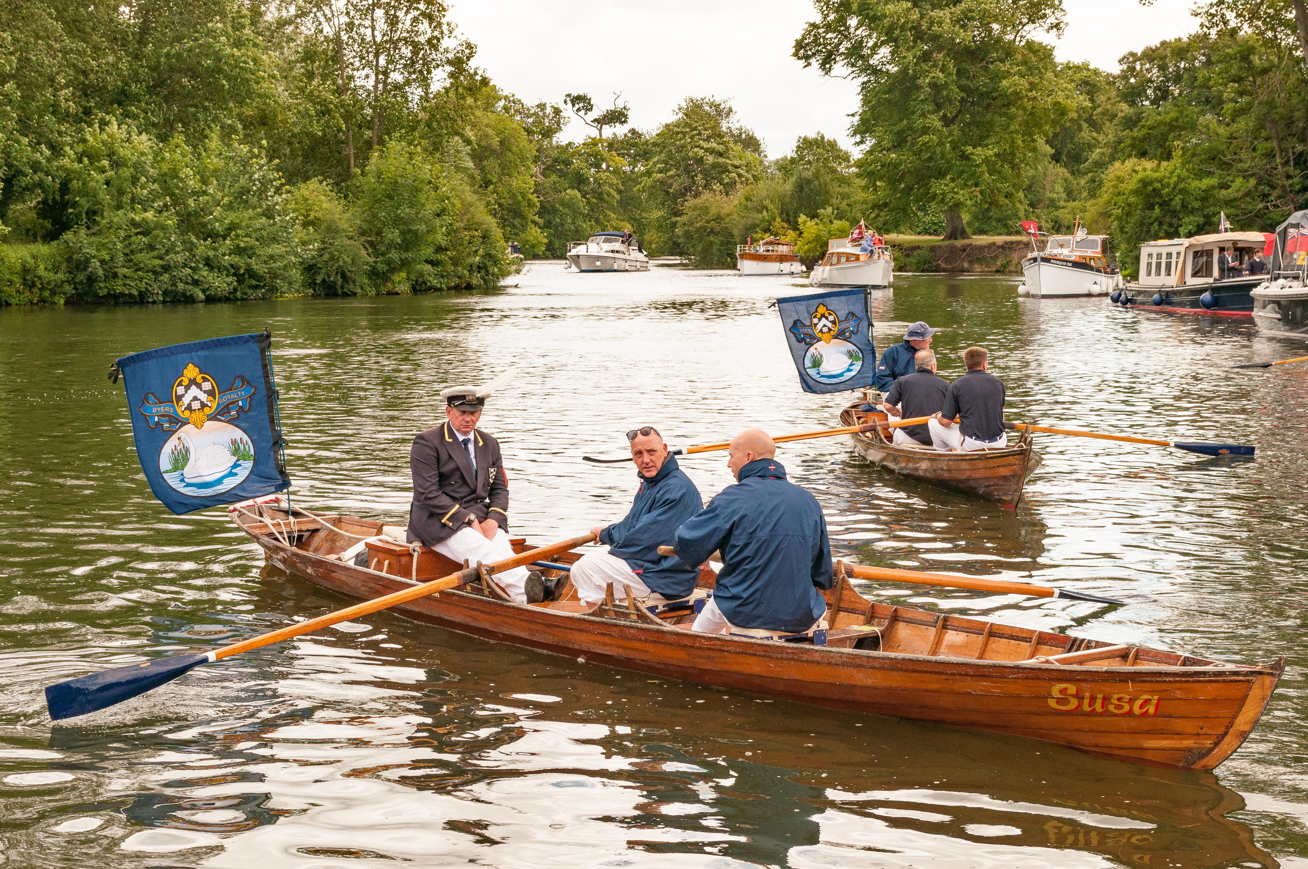 The Fascinating, Regal History Behind Britain's Swans | History ...