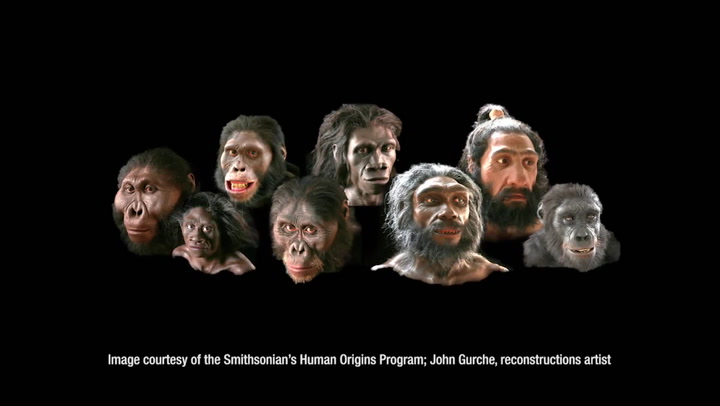 Is Human Evolution Over? | Smithsonian Magazine