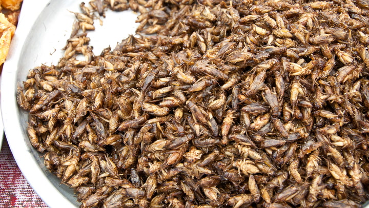 Cooking with Crickets | Smithsonian Magazine