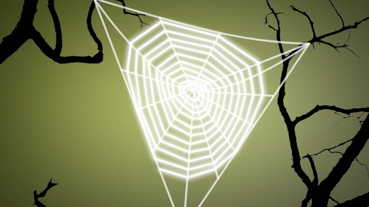 Ask Smithsonian: How Do Spiders Make a Web? | Smithsonian Magazine